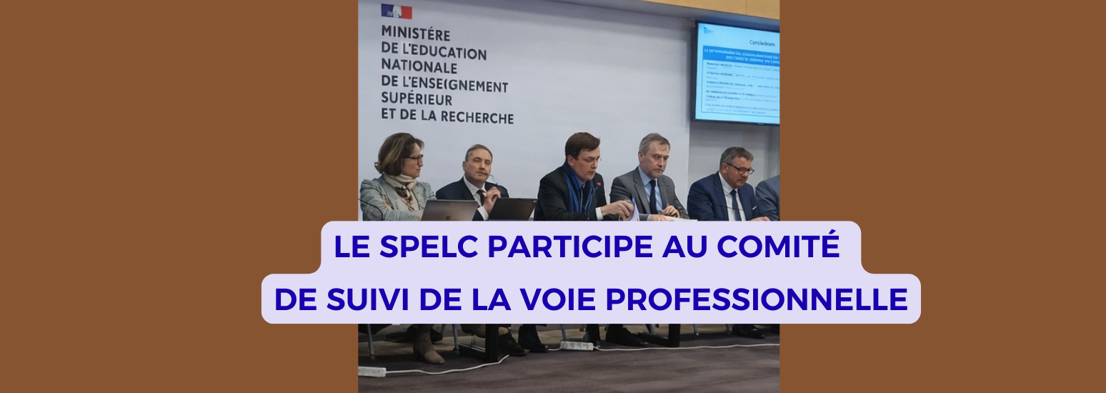 Enseignement professionnel : le Spelc au comité de suivi ! | Spelc